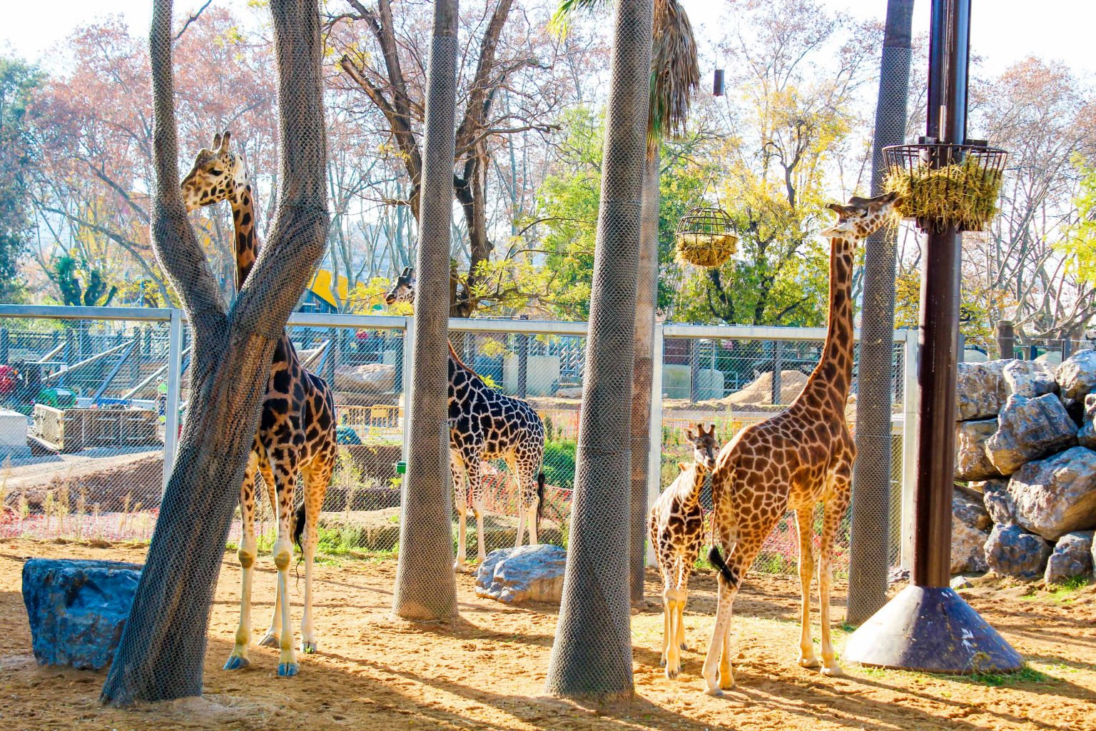 Ultimate Family Guide to Barcelona