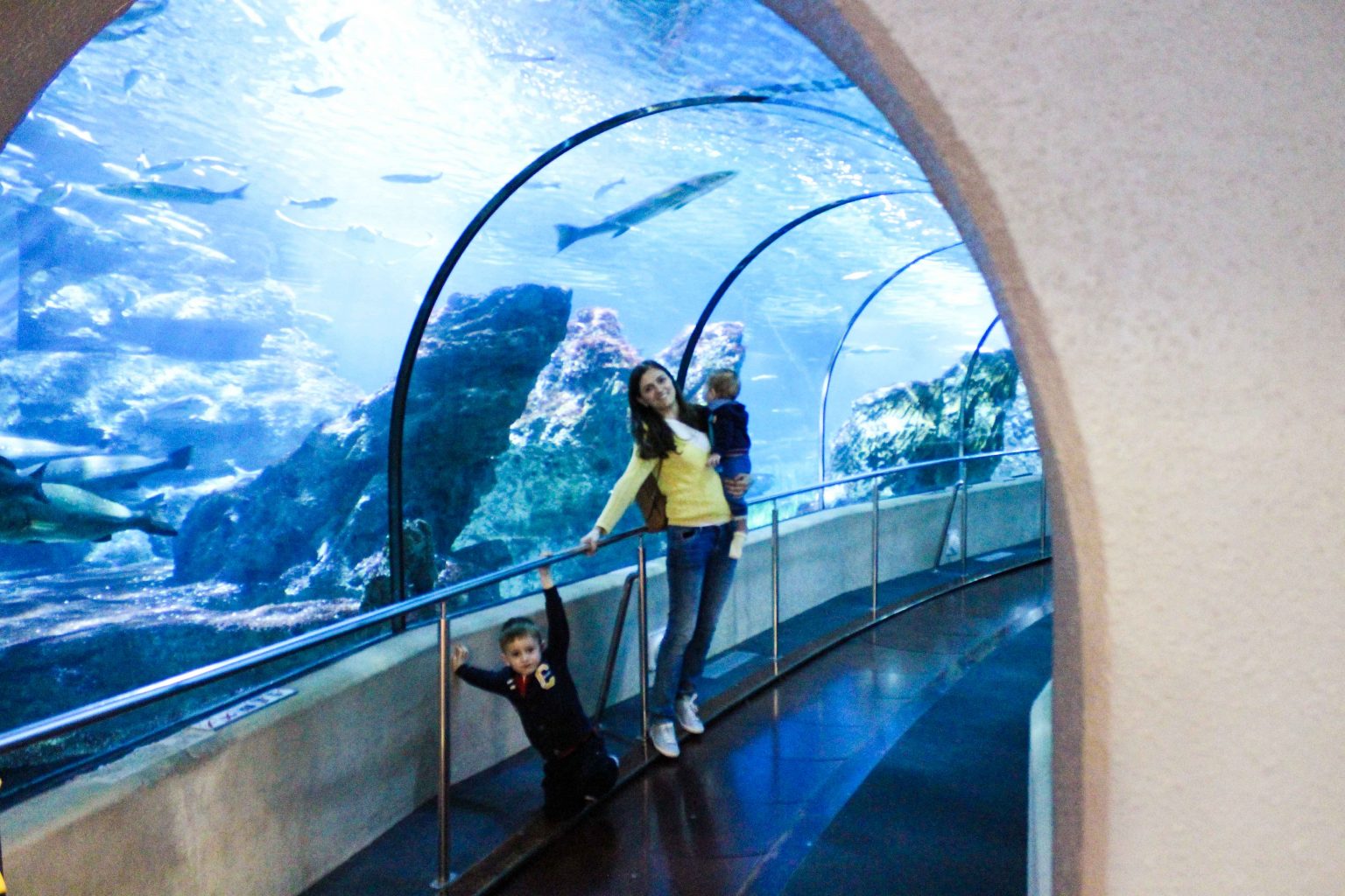 Aquarium de Barcelona - amazing experience for any kid