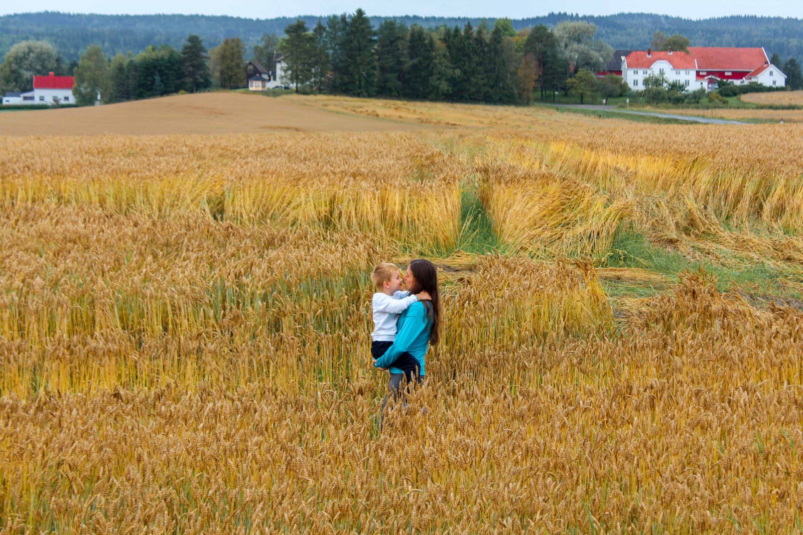Farm Experience in Norway. Discover Norway with kids. - TravelFamilyBlog