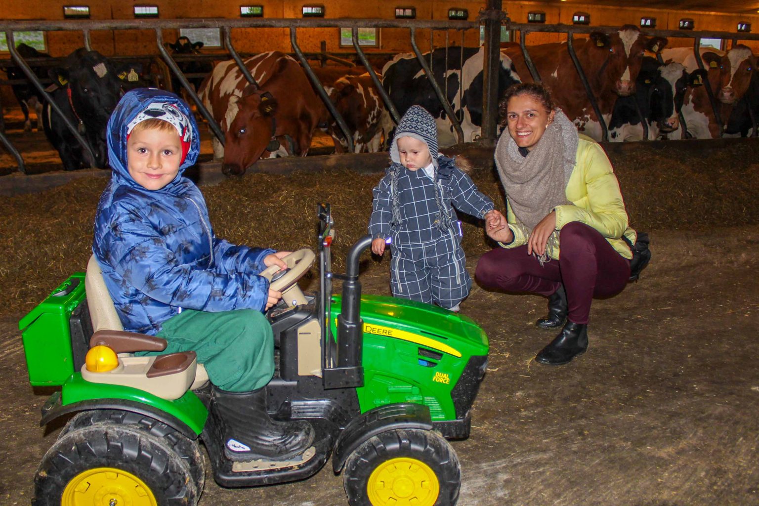 Farm Experience in Norway. Discover Norway with kids. - TravelFamilyBlog