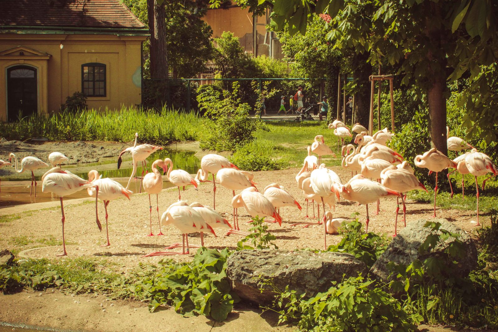 Vienna with Kids: A Fresh & Adventurous Family Getaway Guide ...