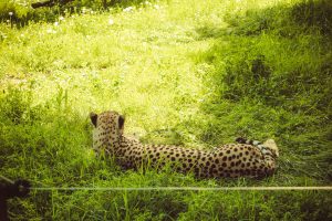 Vienna with Kids: A Fresh & Adventurous Family Getaway Guide ...