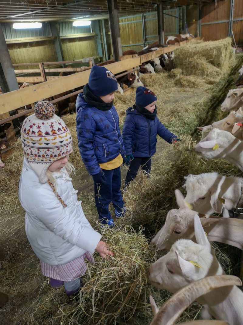 Farmhouse experience with kids in France. - TravelFamilyBlog