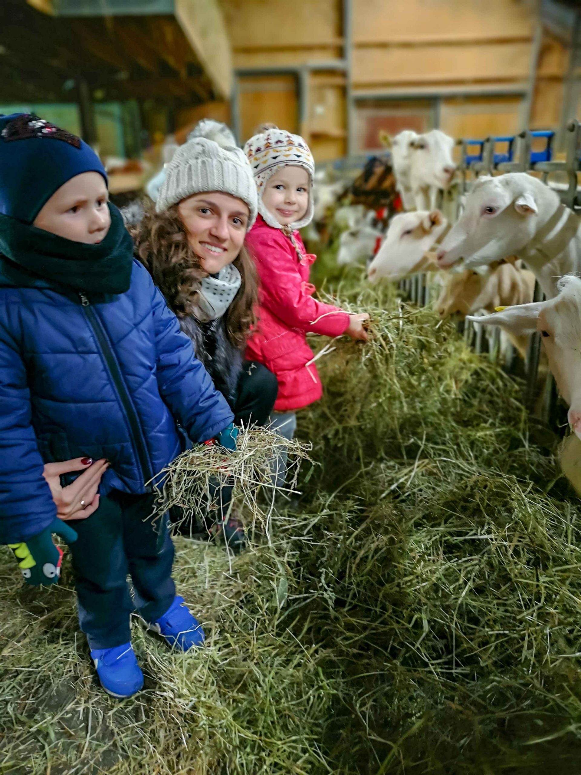 Farmhouse experience with kids in France. - TravelFamilyBlog