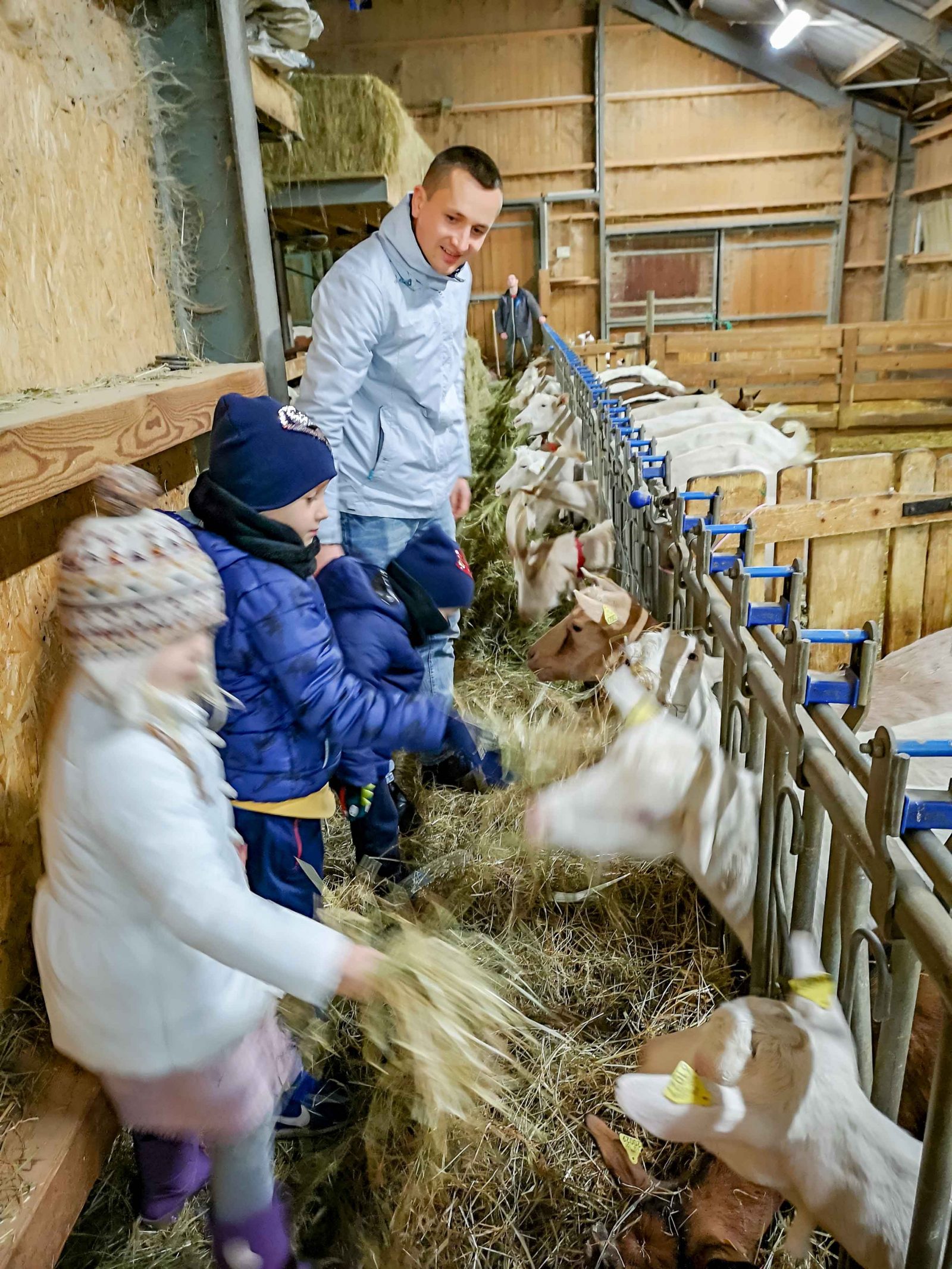 Farmhouse experience with kids in France. - TravelFamilyBlog