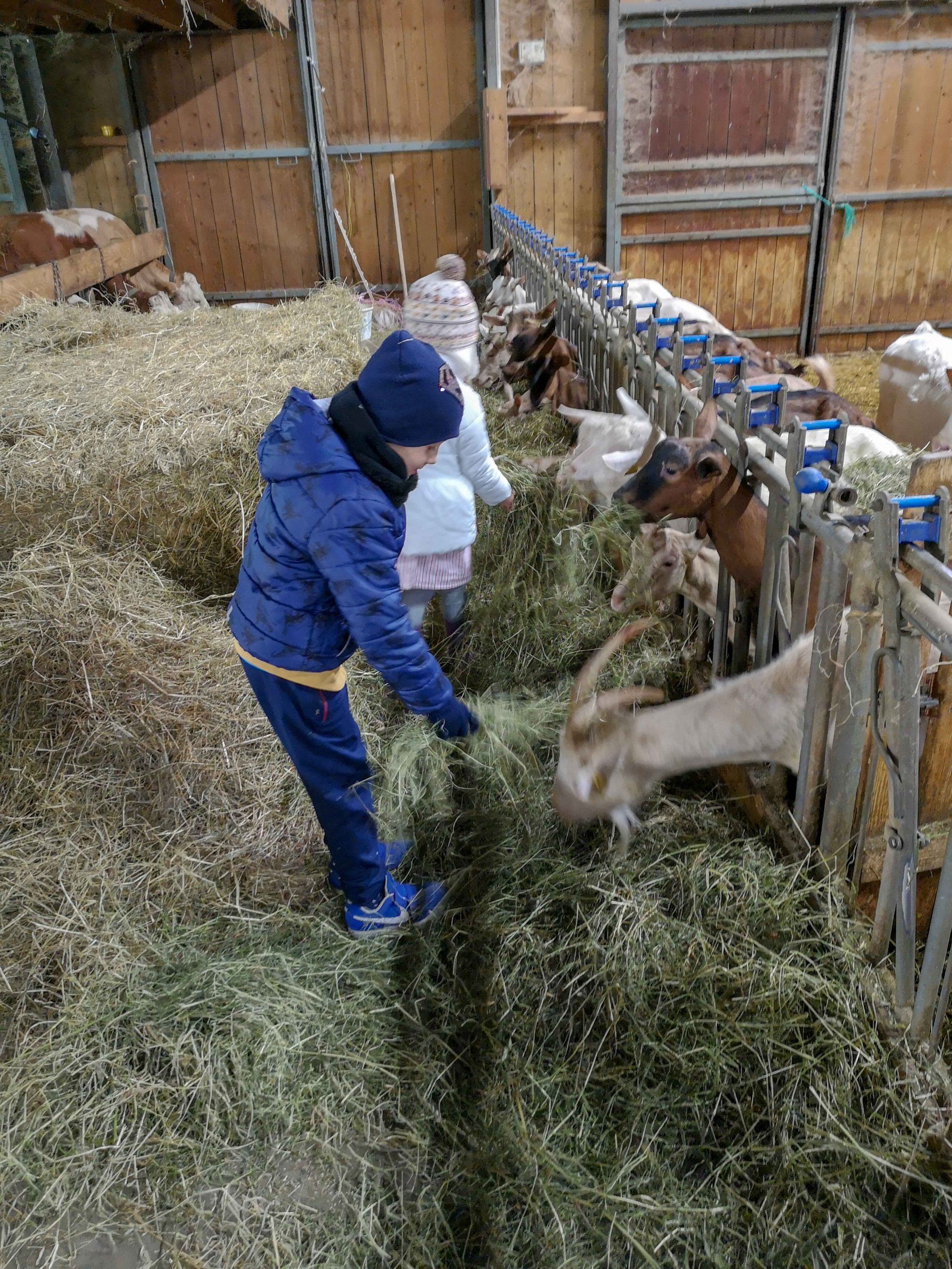 Farmhouse experience with kids in France. - TravelFamilyBlog